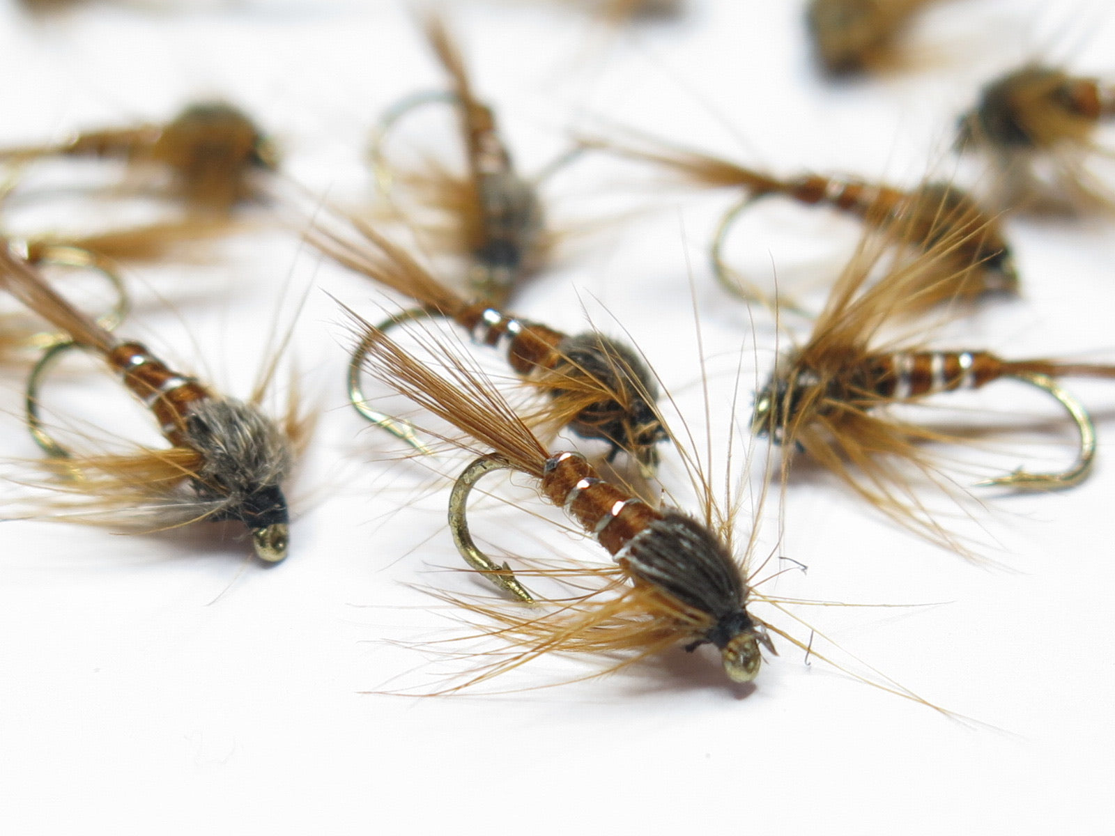 Dirty Nymph – Dirty Flys