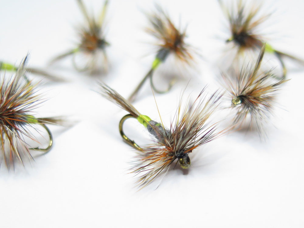 Dirty Flys