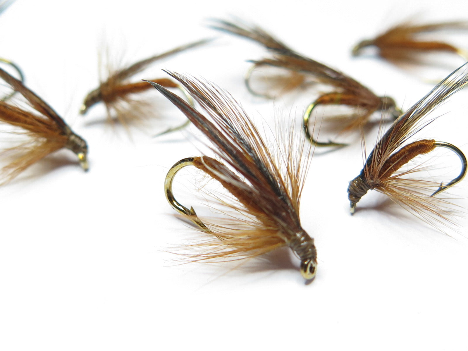 The Dirty Fly Collection – Dirty Flys