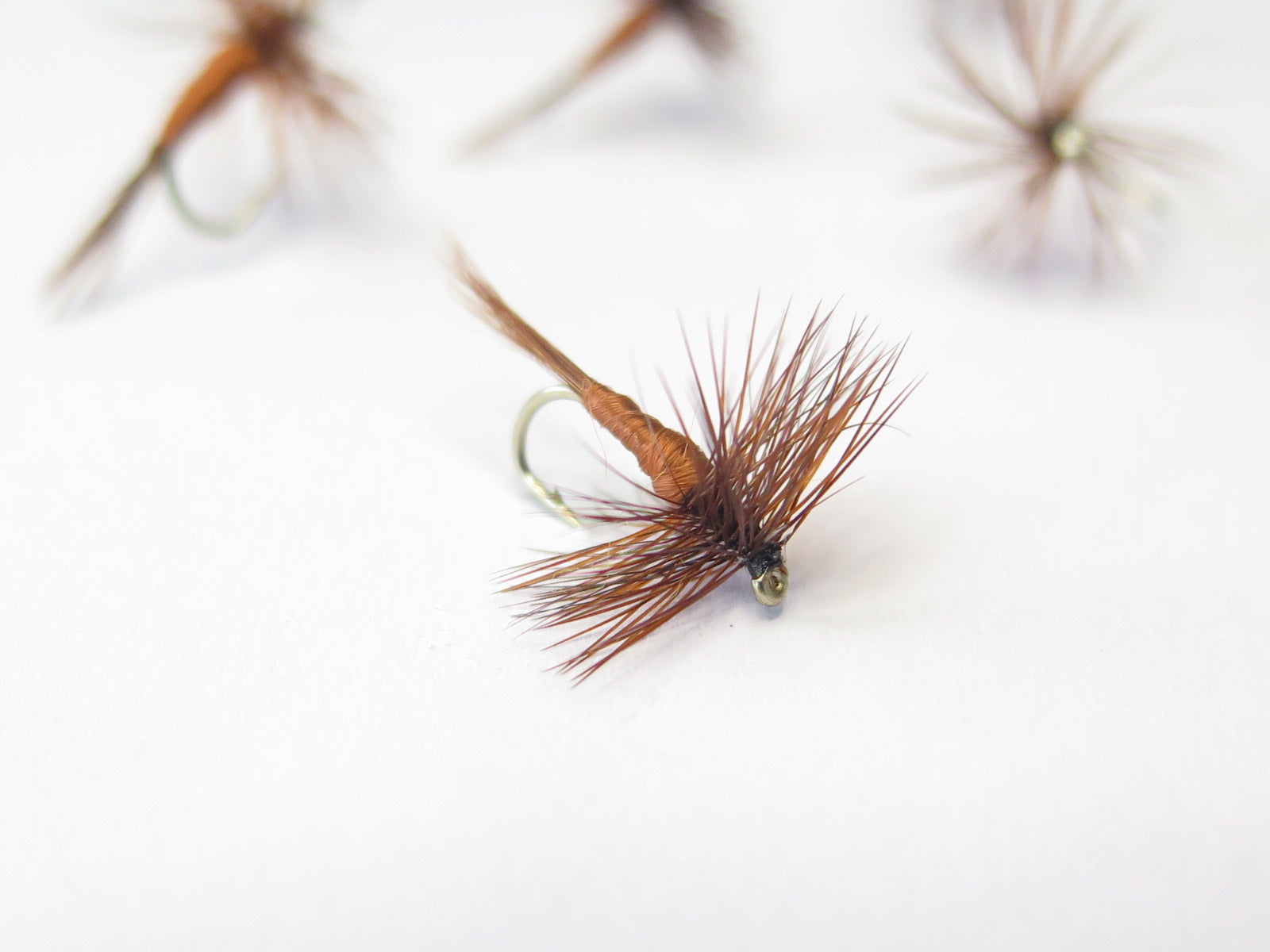 Floater – Dirty Flys