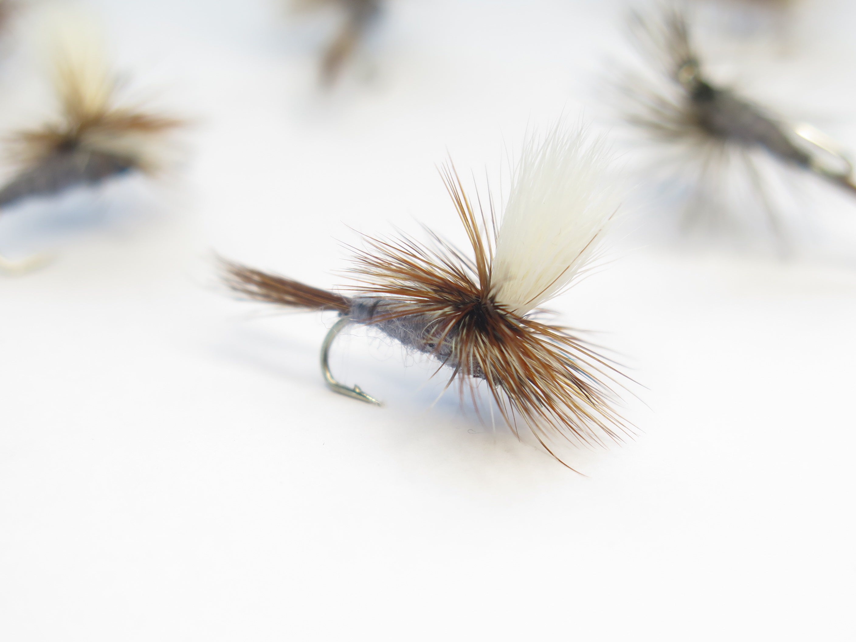 Grey Heat – Dirty Flys
