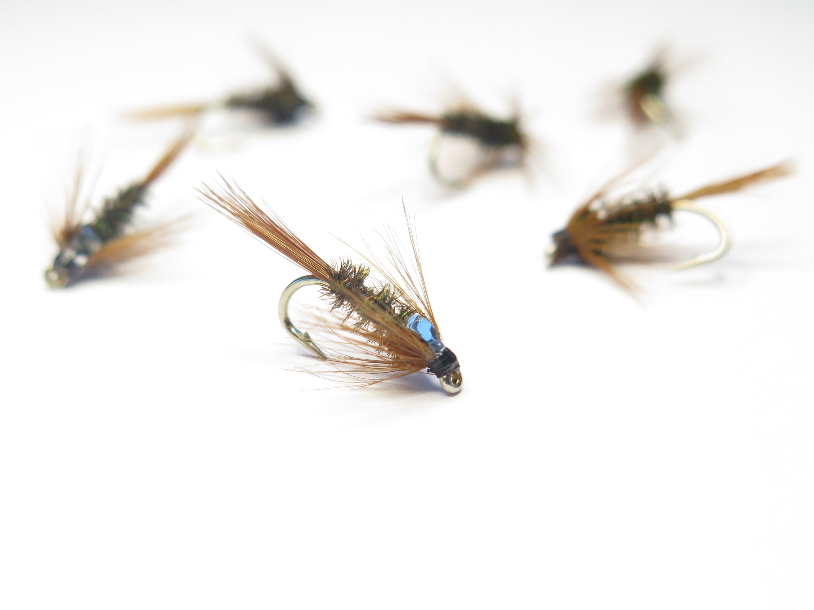 Franks Flash Back – Dirty Flys