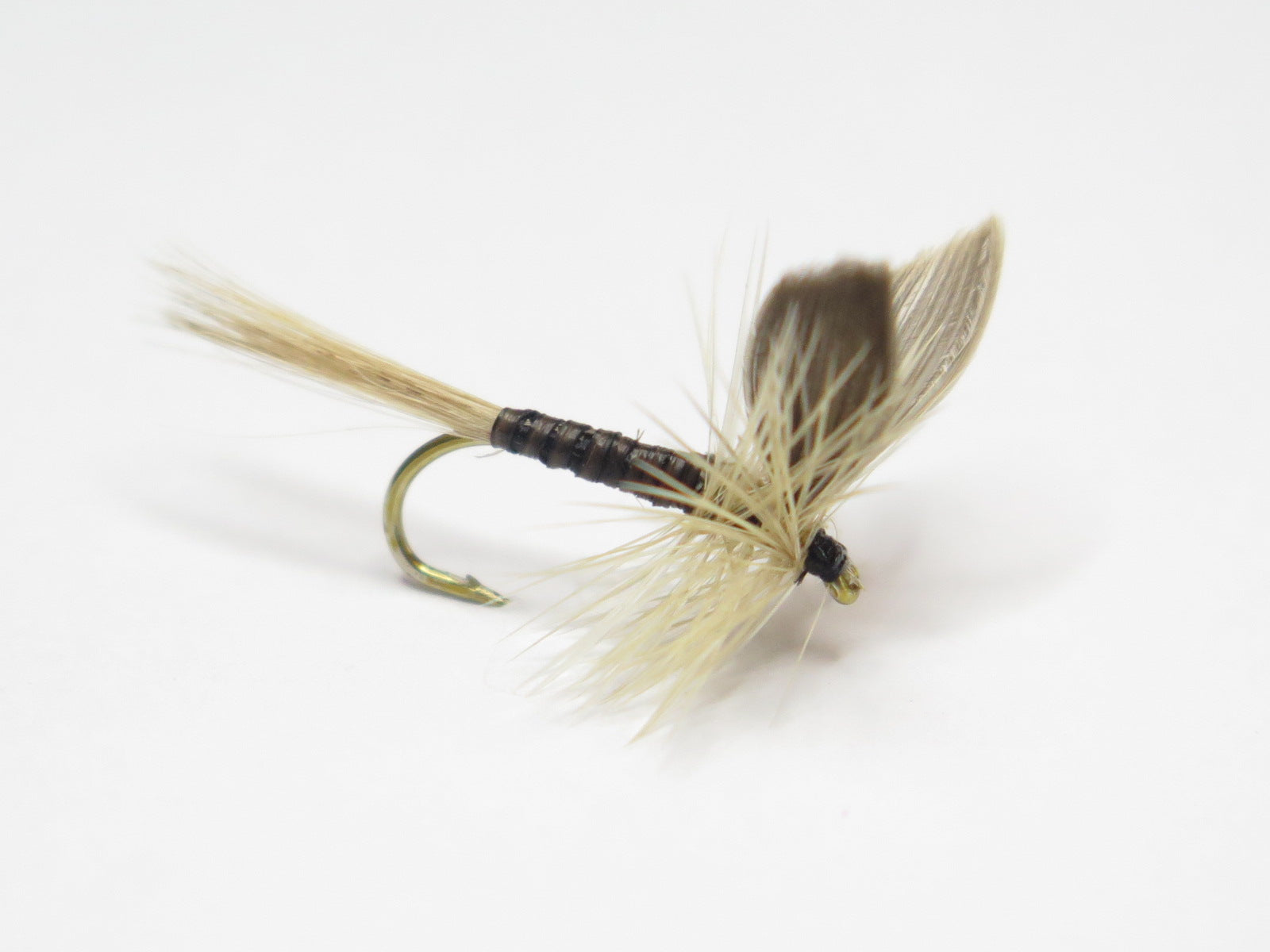Ginger Nuts – Dirty Flys