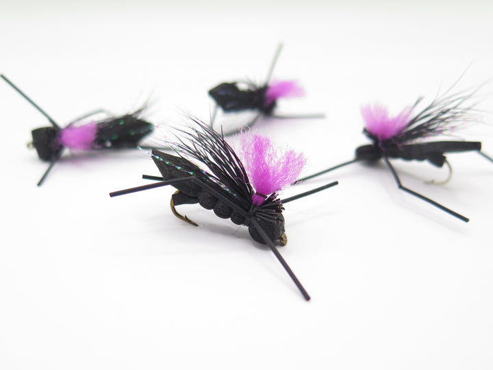 Dirty Dry – Dirty Flys