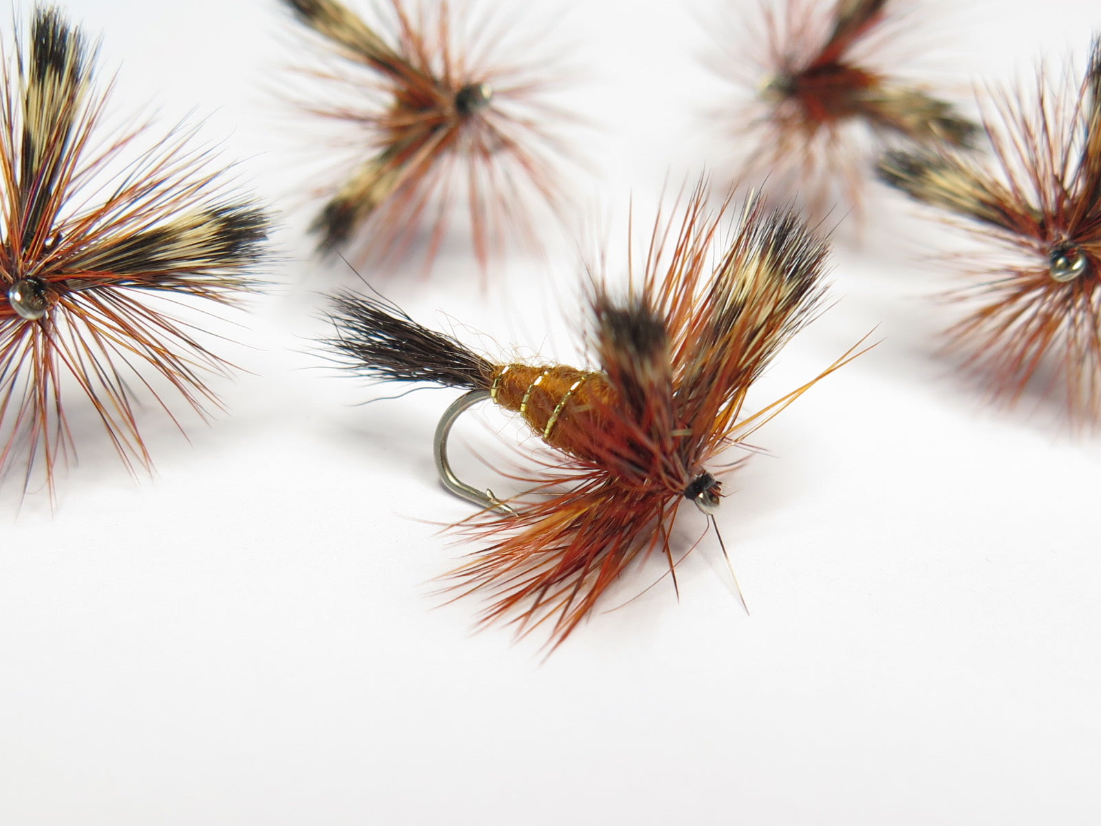 Dirty Dry – Dirty Flys