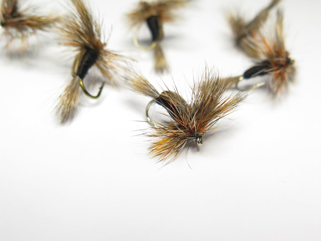 Dirty Dry – Dirty Flys