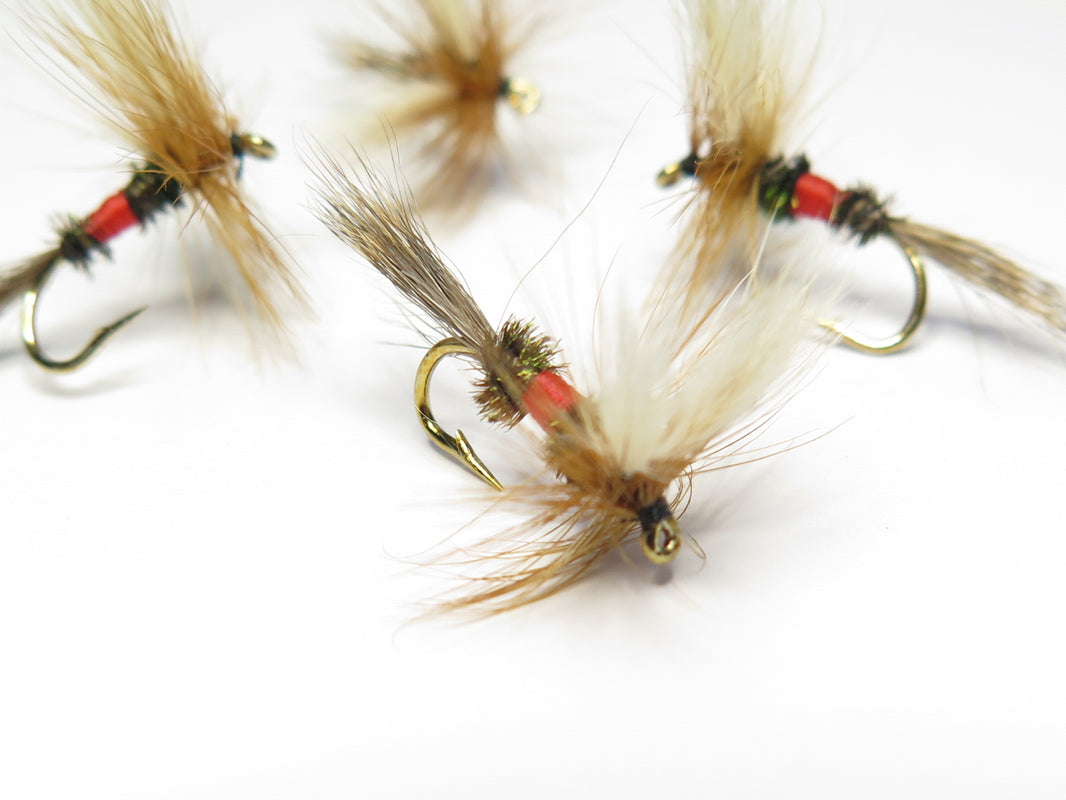 Dirty Dry – Dirty Flys