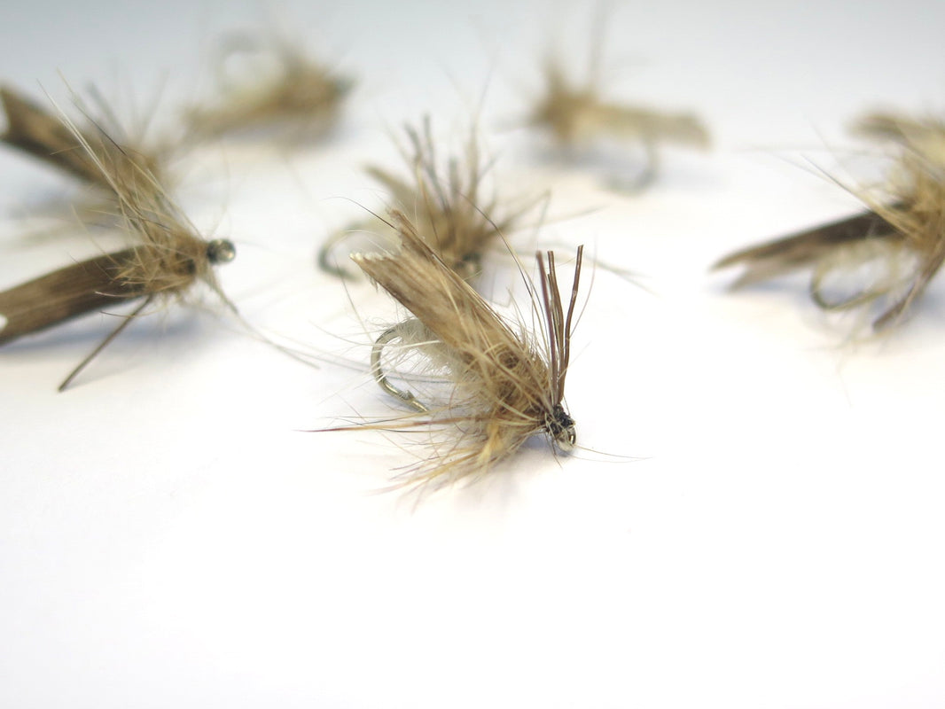 Dirty Dry – Dirty Flys